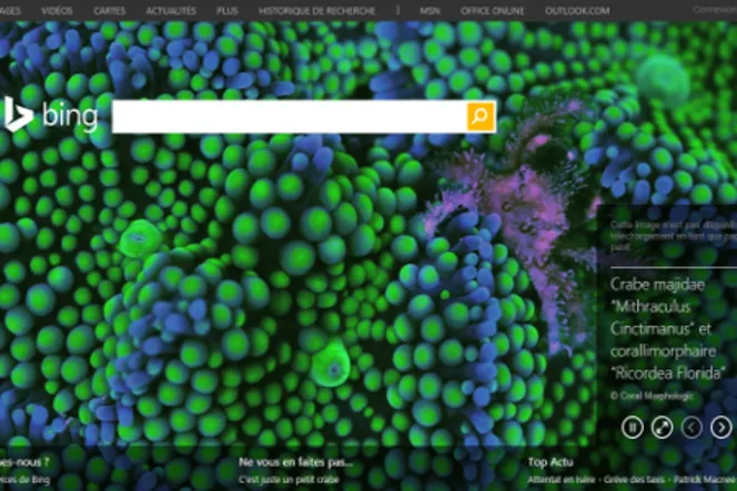 Jouer à Snake dans Microsoft Bing