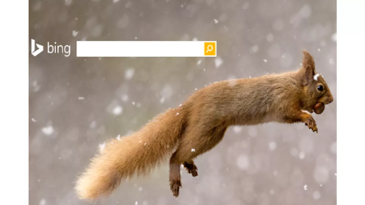Bing : cinq ans et moteur de Spotlight d'Apple