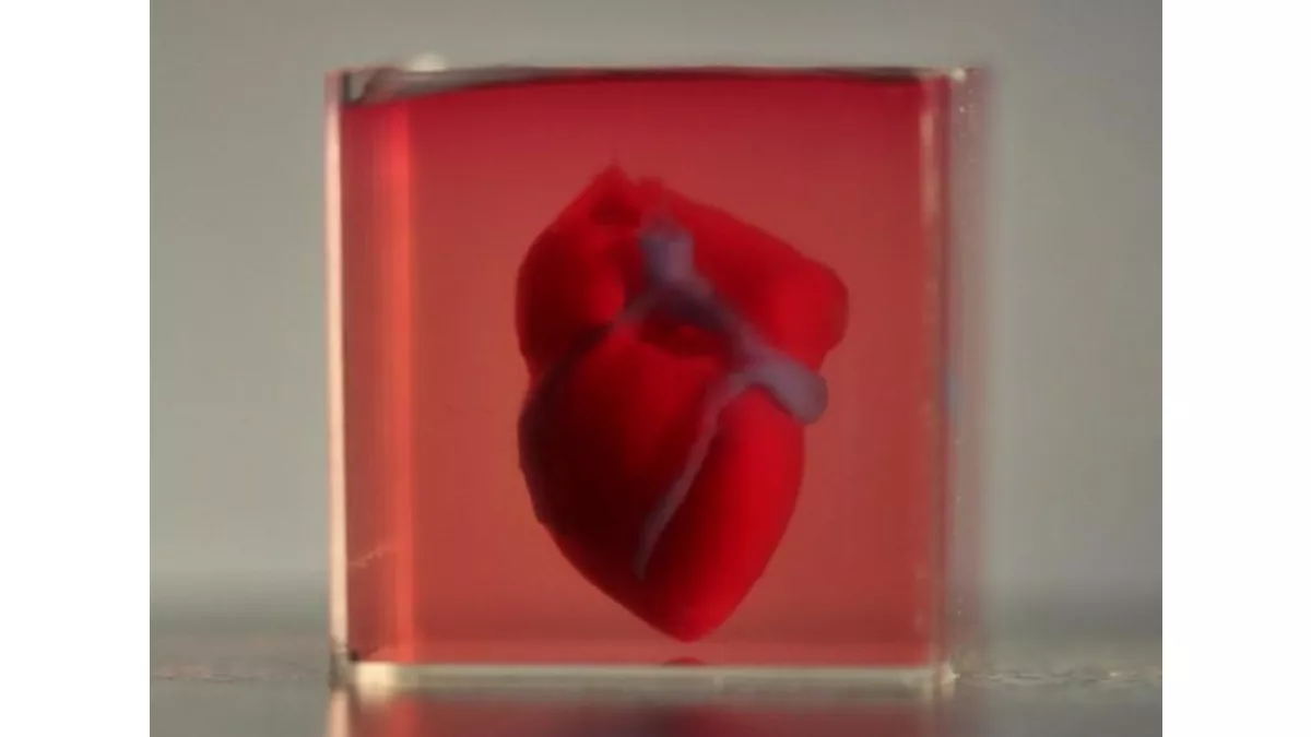 Des scientifiques impriment un coeur en 3D