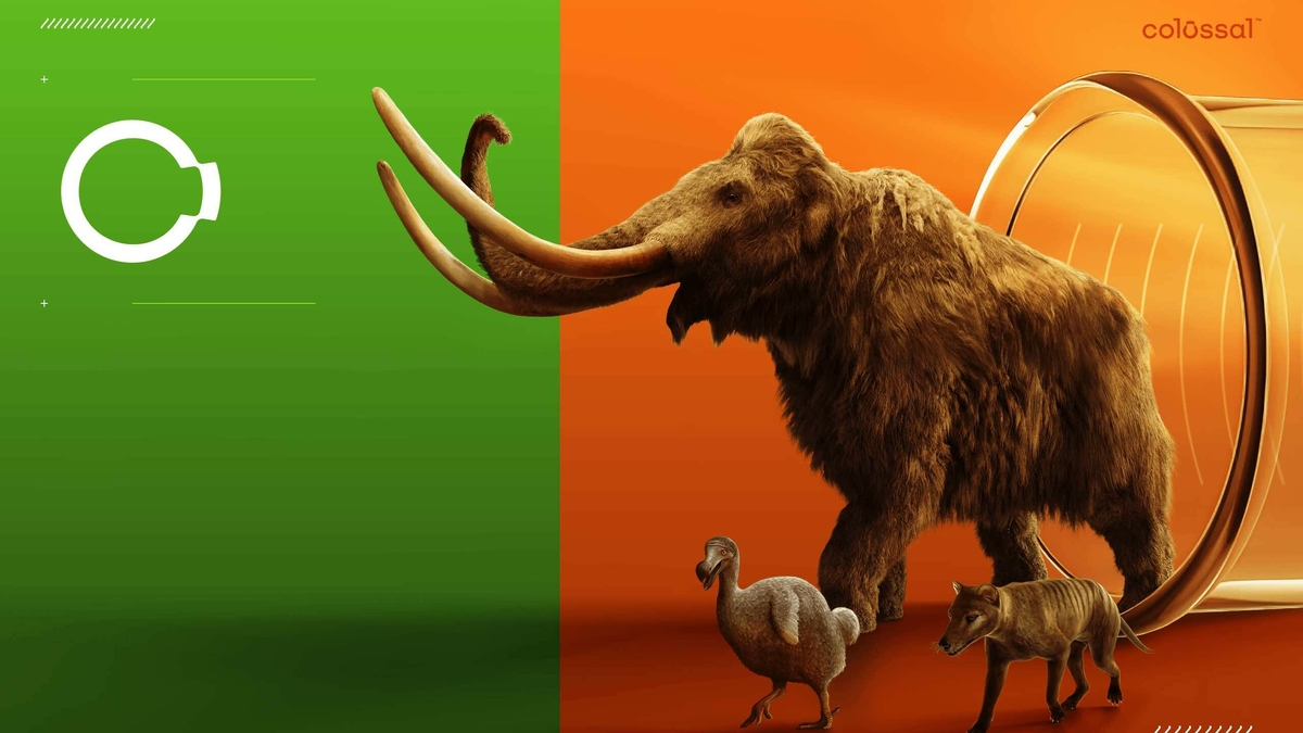Colossal Biosciences s'offre Viagen, le géant du clonage animalier