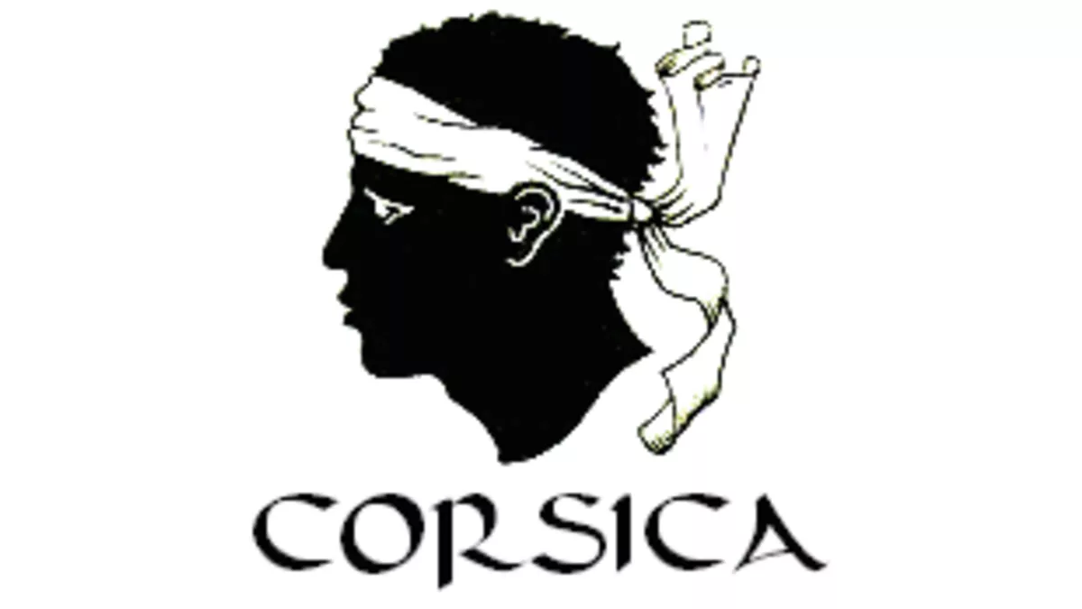 Warez : le pirate corse sévèrement condamné