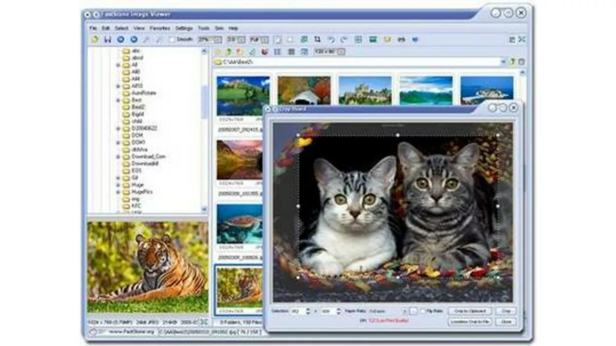 FastStone Photo Resizer Portable : redimensionnez des photos à votre ...