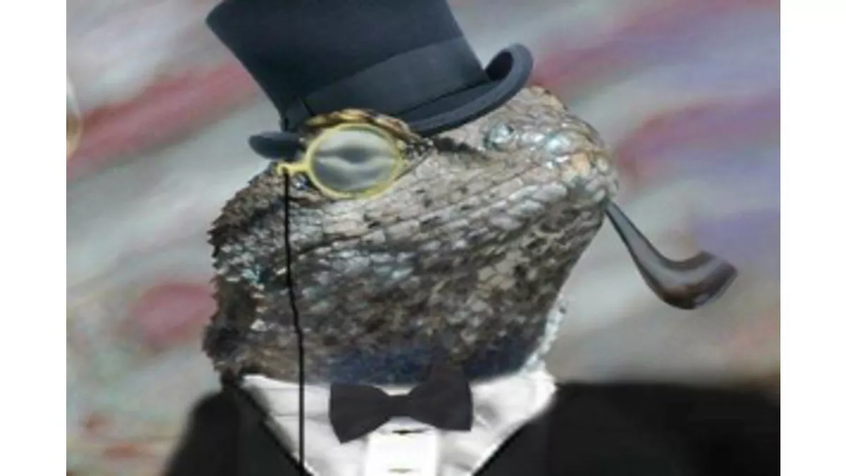DDoS : Lizard Squad se venge et fait sa promo