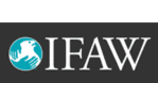 Défense de vendre de l'ivoire sur eBay à compter de 2009