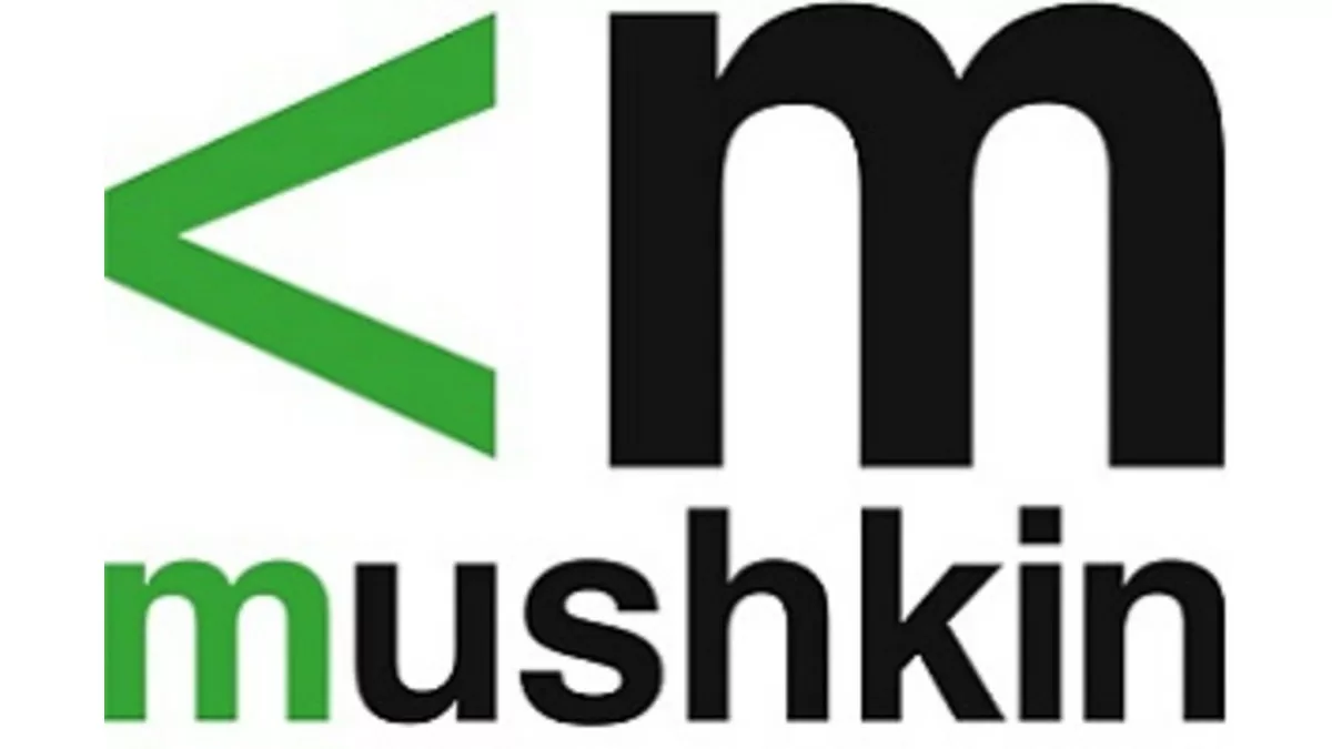 Mushkin : un SSD réactif et accueillant