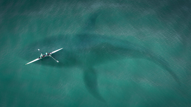 Megalodon : plusieurs milliers de dépôts GitHub infectés en quelques heures