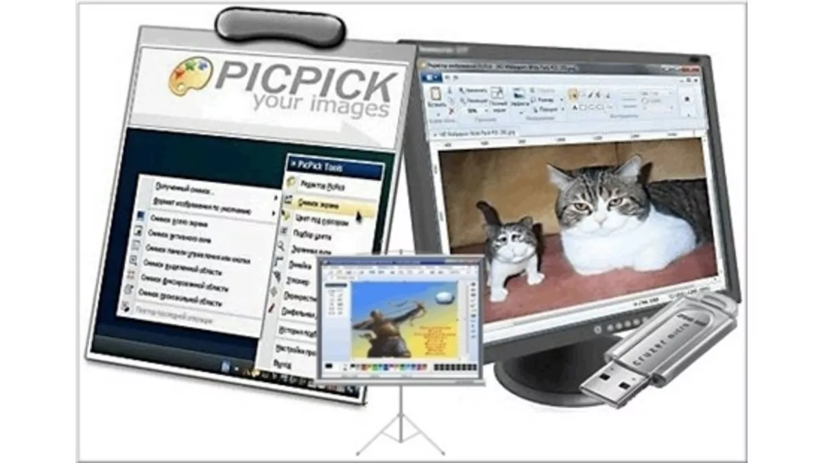 PicPick Portable : capturer des images simplement