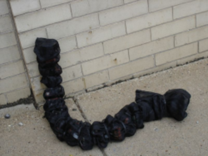 Des robots serpents pour sauver des vies