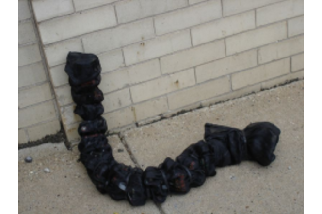 Des robots serpents pour sauver des vies