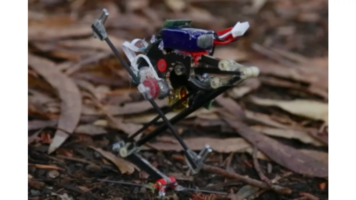 Salto : un robot sauteur avec des aptitudes au parkour