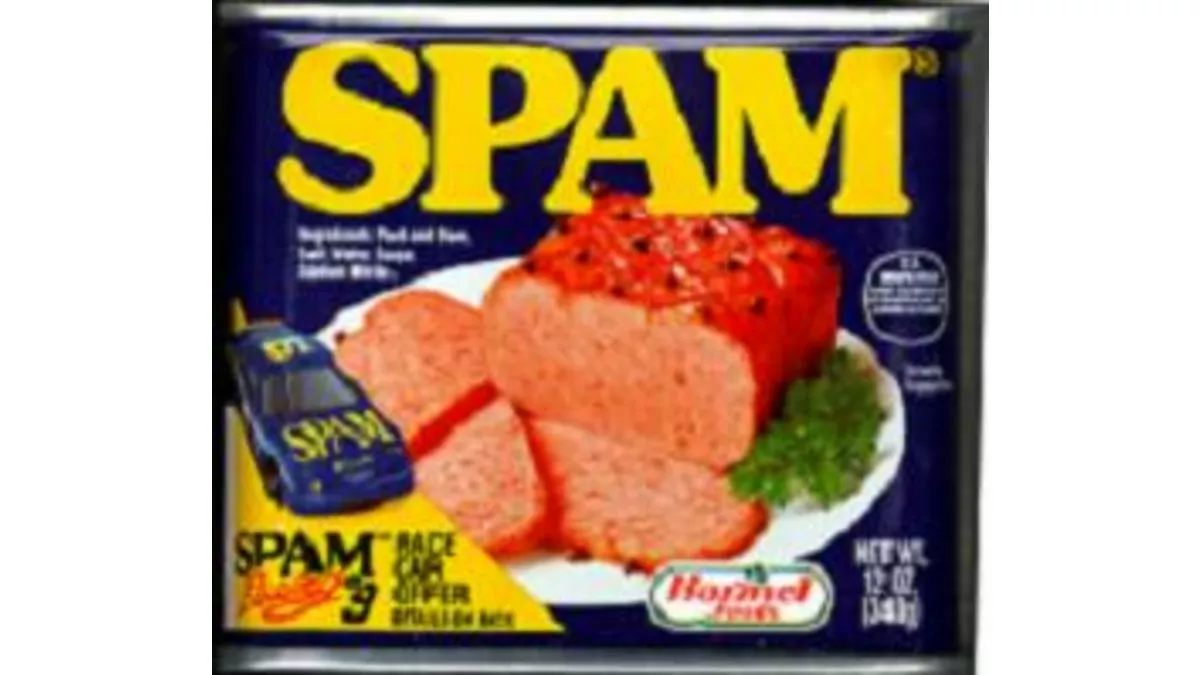 Déjà 30 ans de spam et ce n'est pas fini