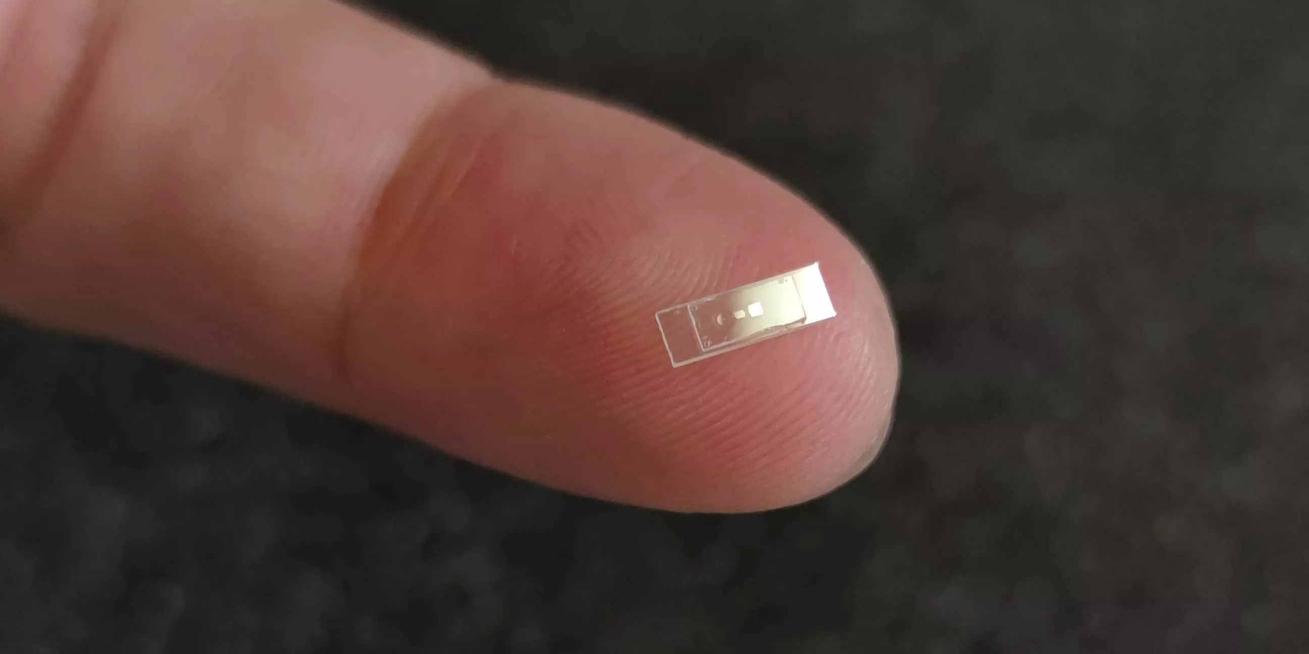 Quand la superposition quantique s'invite dans le monde macroscopique