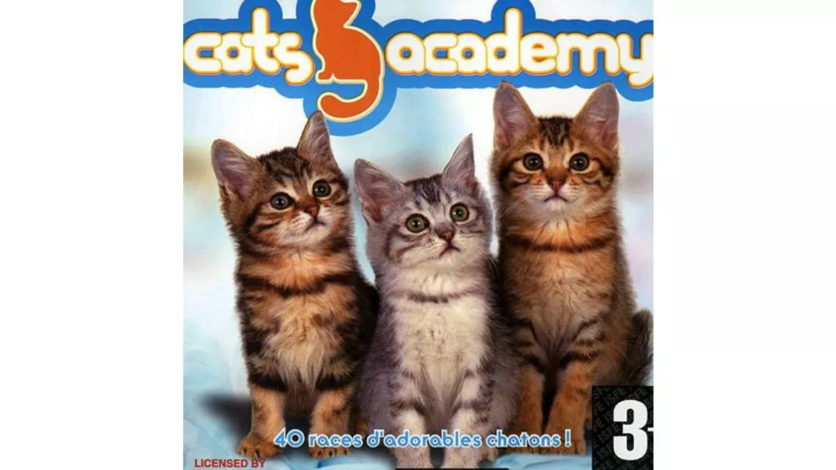 Test Cats Academy