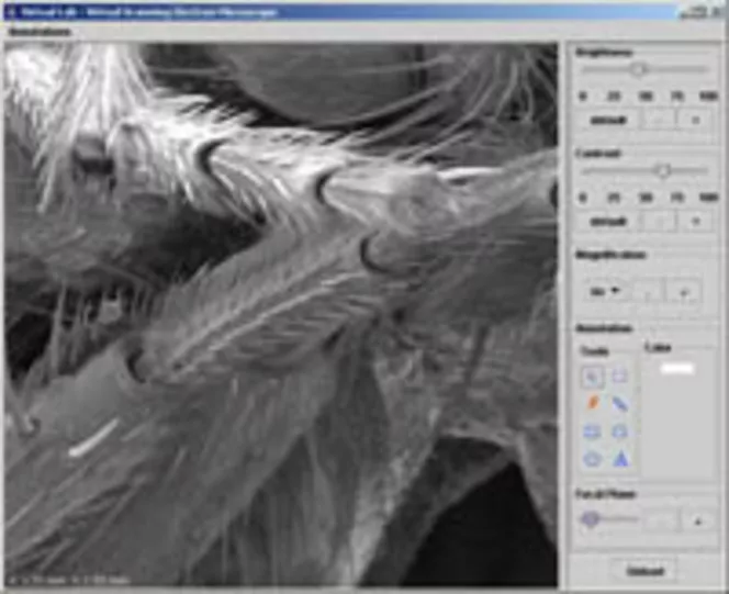Virtual Microscope : voir le monde au travers d’un microscope virtuel