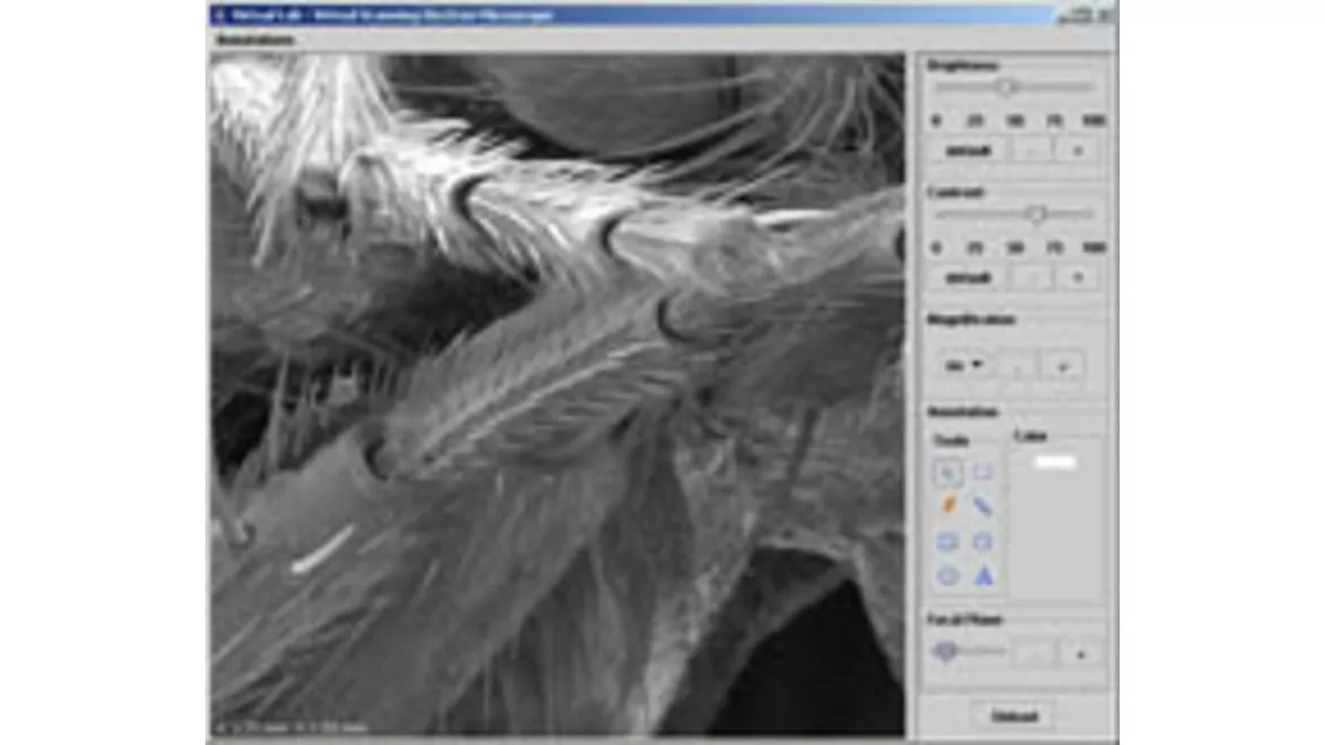 Virtual Microscope : voir le monde au travers d’un microscope virtuel