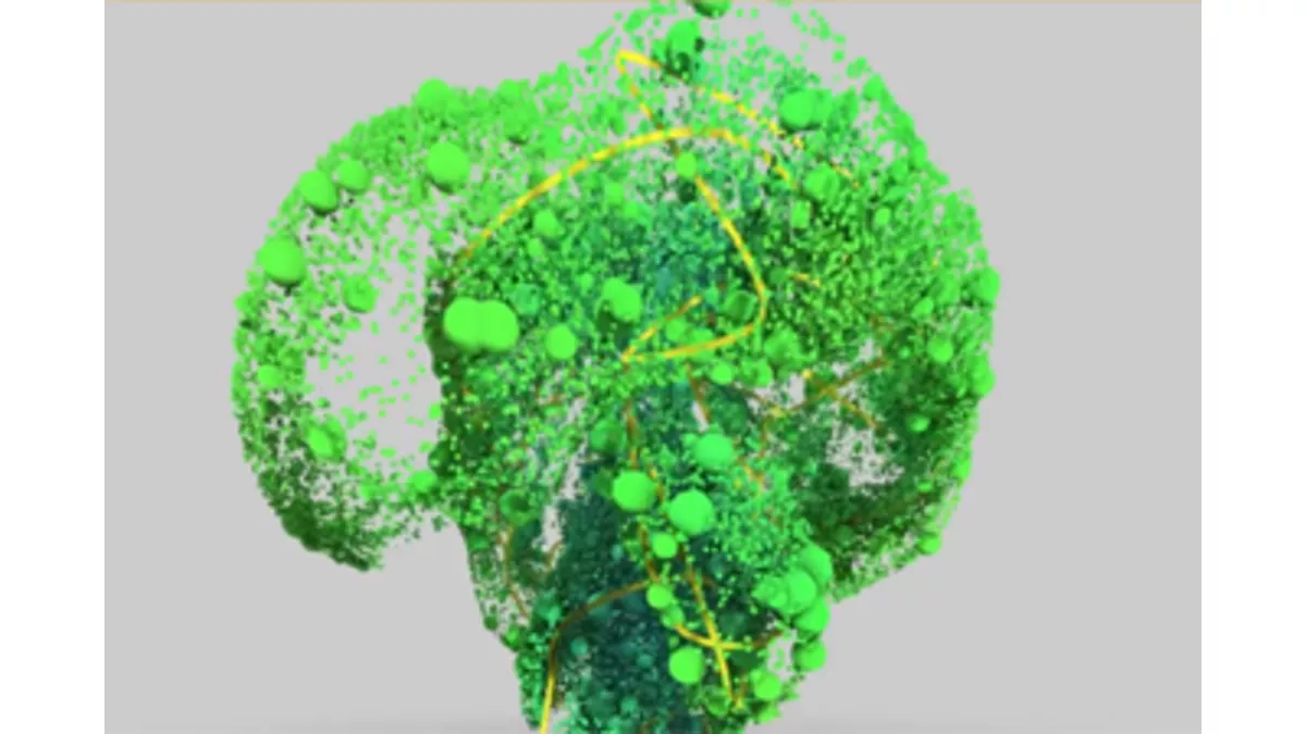 Vortex Spheres : une expérience Web addictive